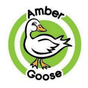 Amber Goose – Storkland & Kids Too!